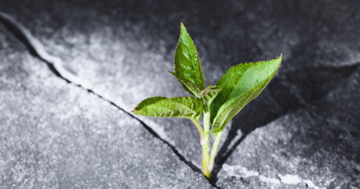 how-to-stay-resilient